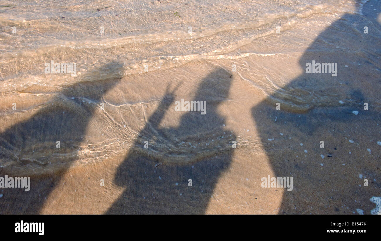 shadows on the sand at the seaside Stock Photo - Alamy