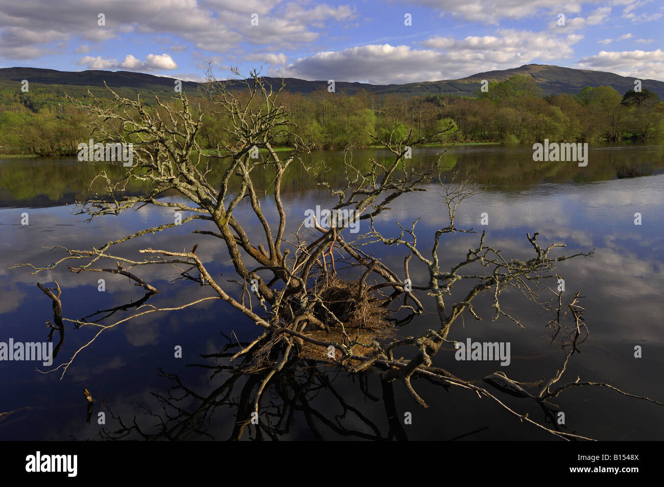 River Lochay Killin High Resolution Stock Photography and Images - Alamy