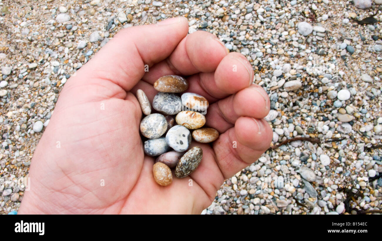 handful of pebbles at Start Point, Devon, UK Stock Photo - Alamy