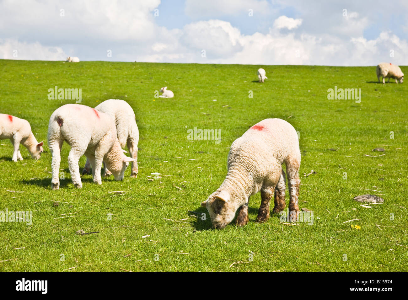 Dike embankment hi-res stock photography and images - Alamy