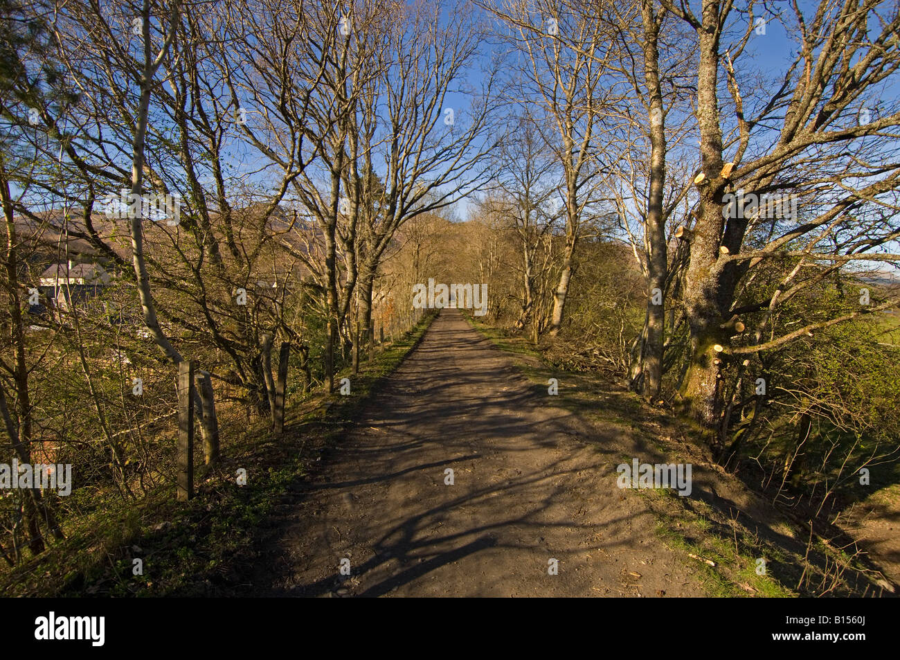 Wooded Lane Stock Photos & Wooded Lane Stock Images - Alamy
