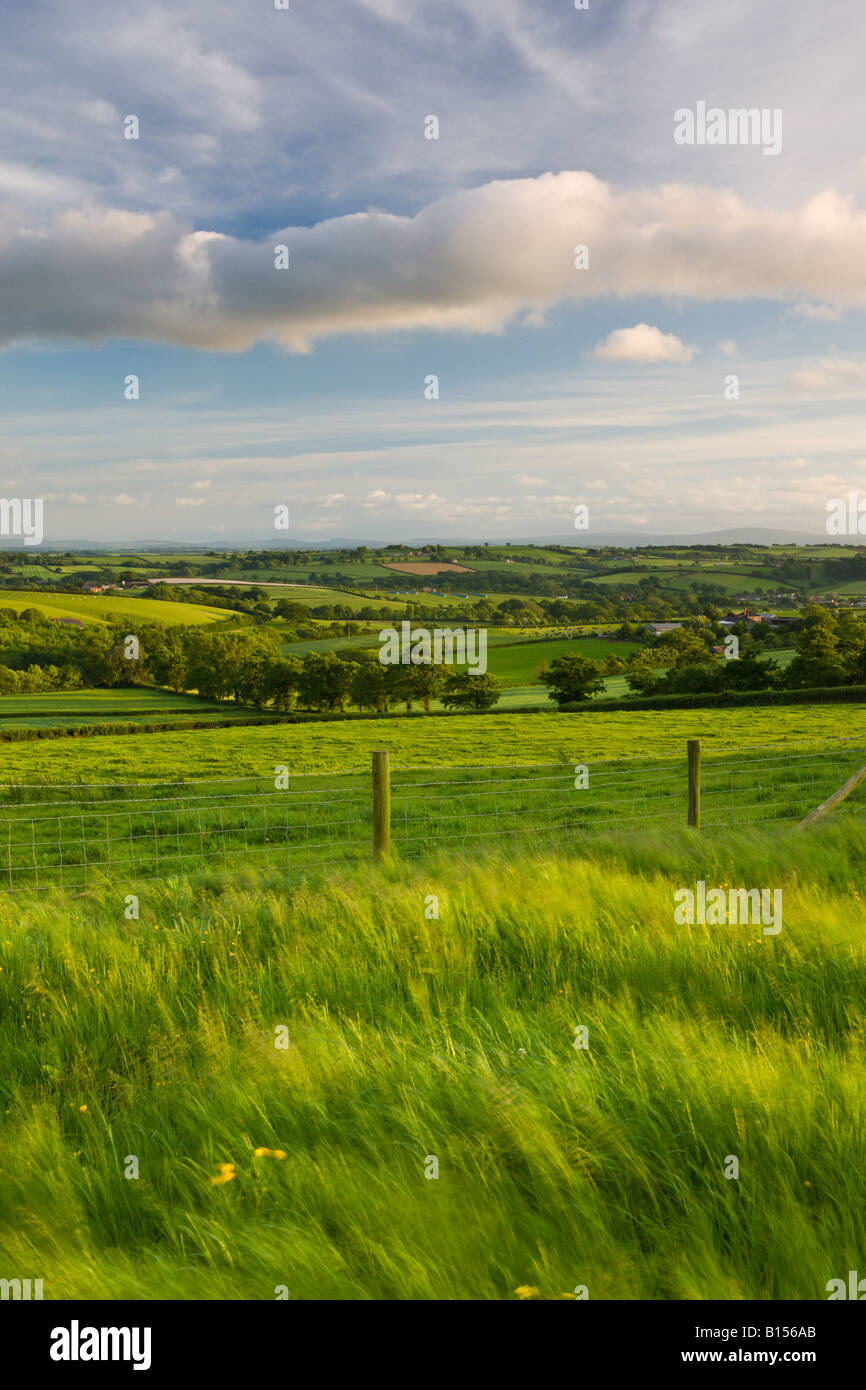 Rolling farmland of Mid Devon England Stock Photo - Alamy