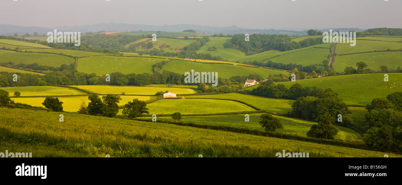 Patchwork landscape devon spring hi-res stock photography and images ...