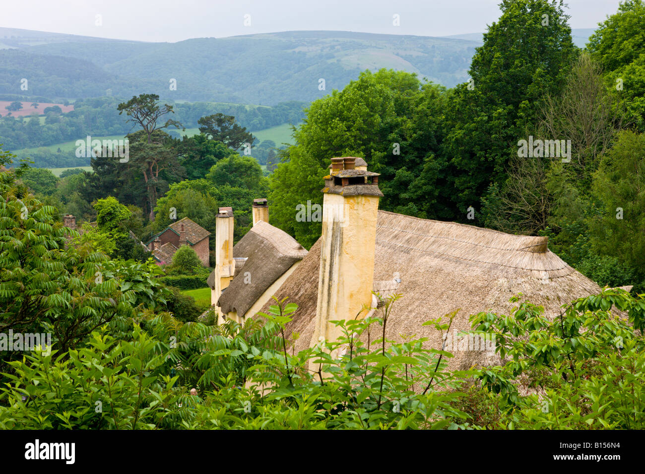 Looking down over the thatched roofed cottages of Selworthy Exmoor ...