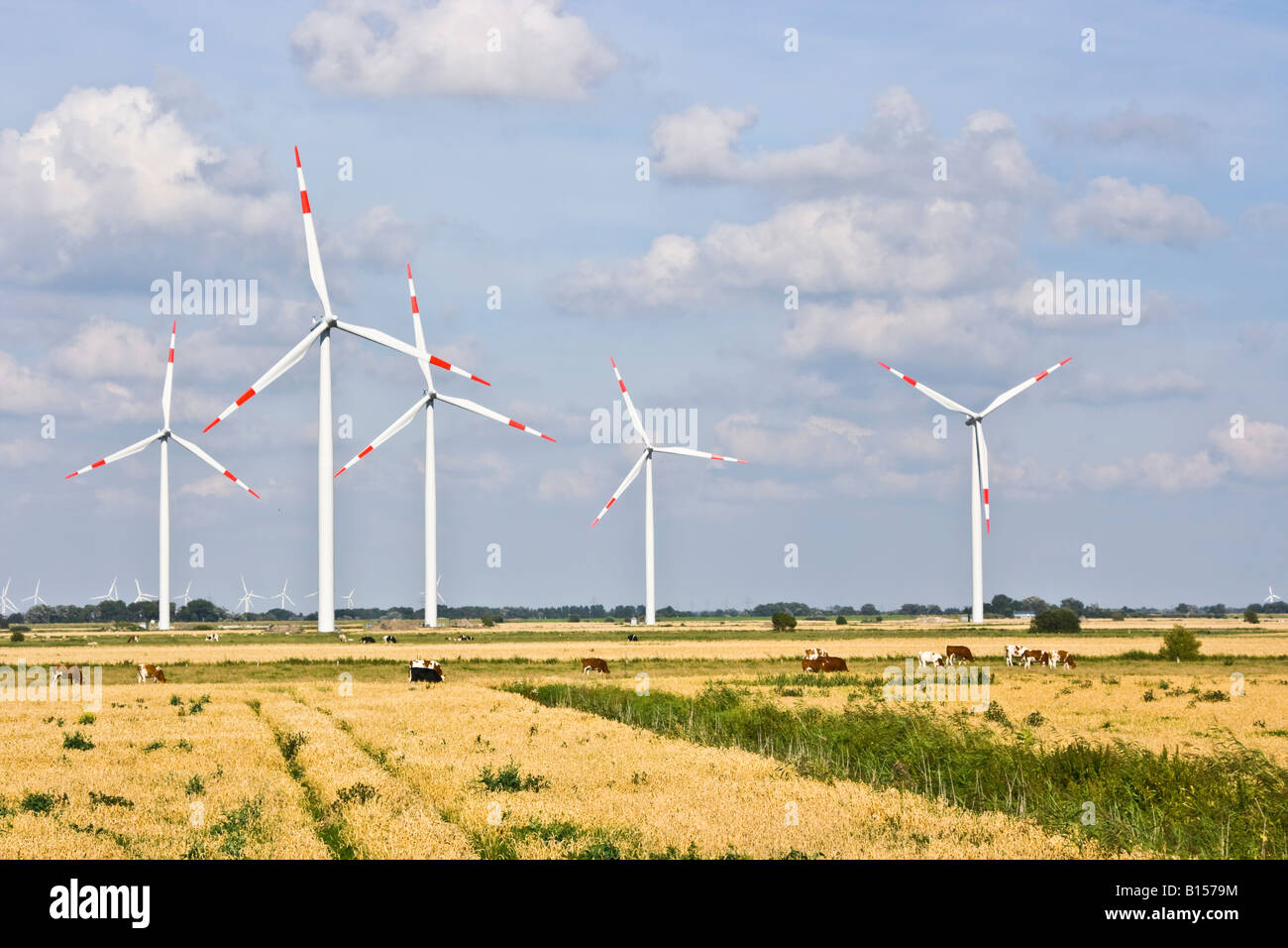 Non polluting energy hi-res stock photography and images - Alamy
