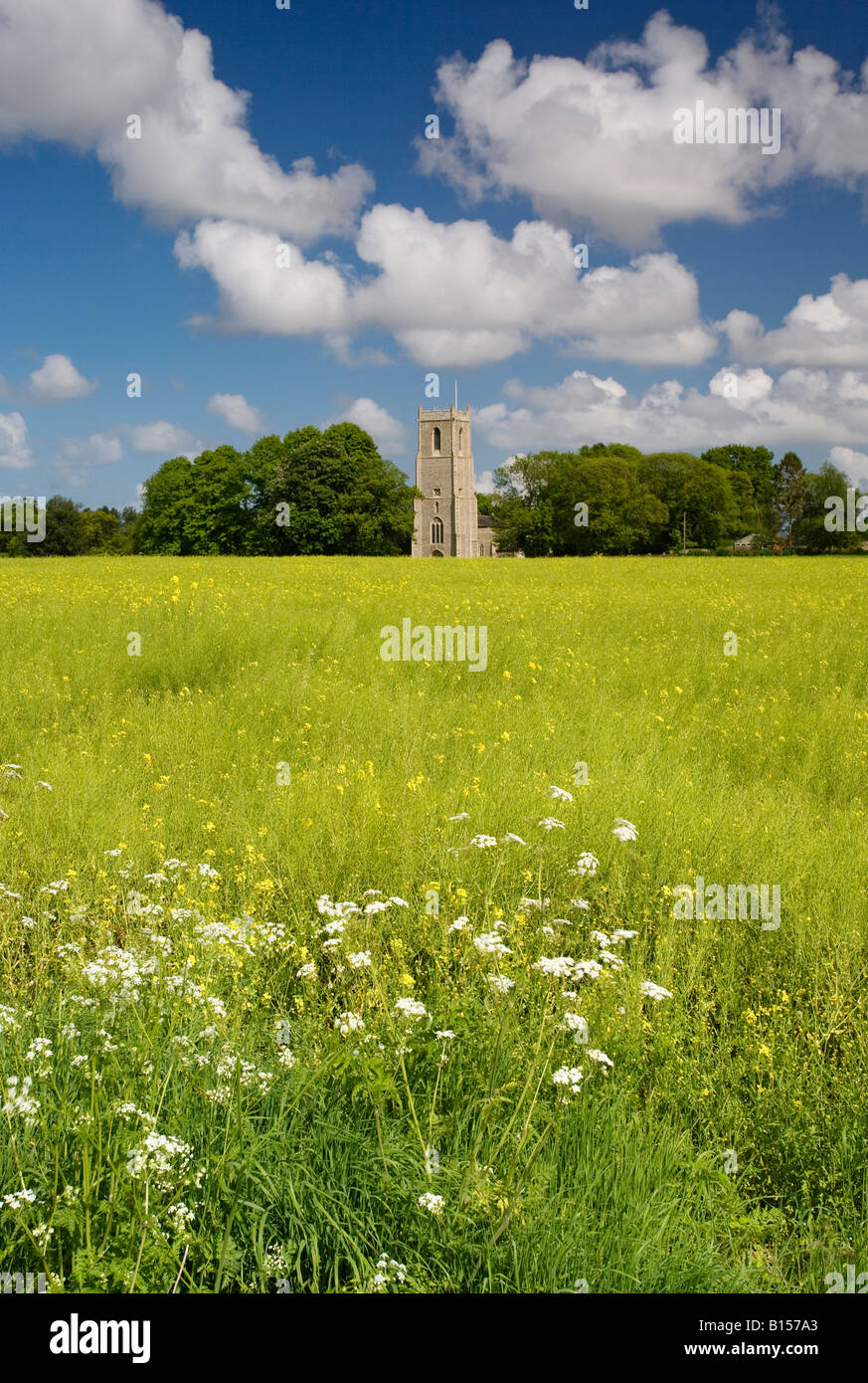 Traditional Norfolk Flint Church of St Michael & All Angels Barton Turf ...