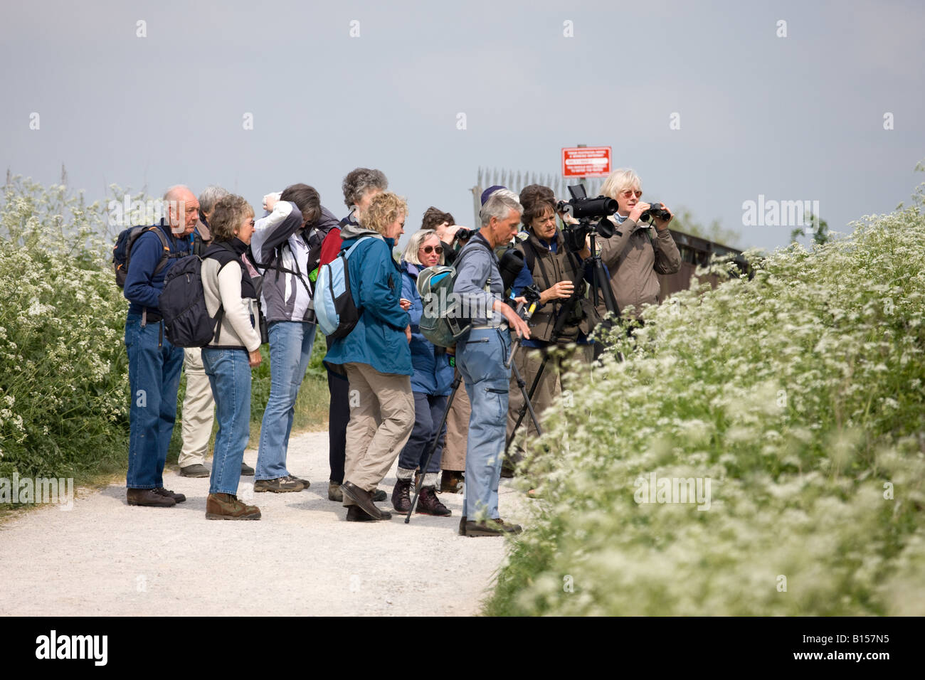 Birdwatching group on path using binoculars & telescopes to look for ...