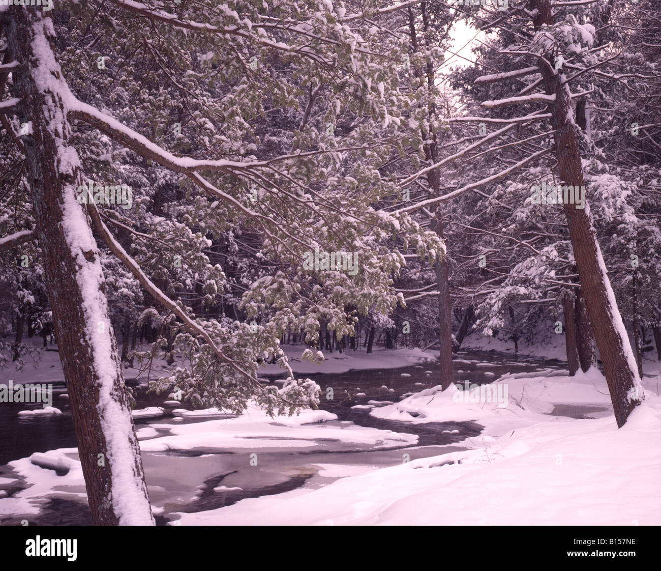 Stream in Winter Stock Photo - Alamy