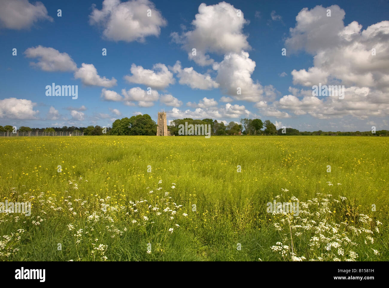 Traditional Norfolk Flint Church of St Michael & All Angels Barton Turf ...