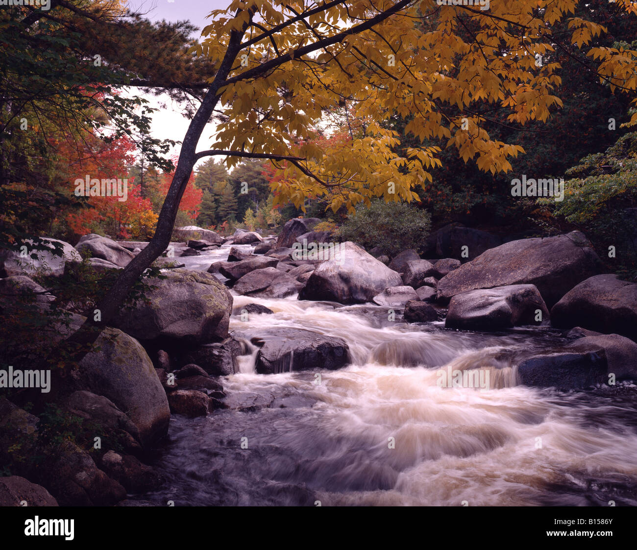 River Rapids with Autumn Foliage Stock Photo - Alamy