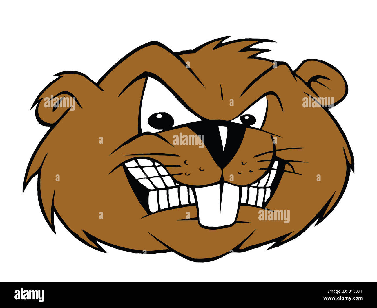 cartoon illustration of a beaver Stock Photo - Alamy