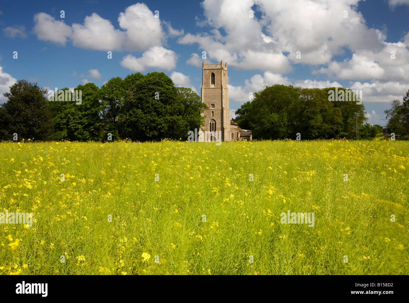 Traditional Norfolk Flint Church of St Michael & All Angels Barton Turf ...