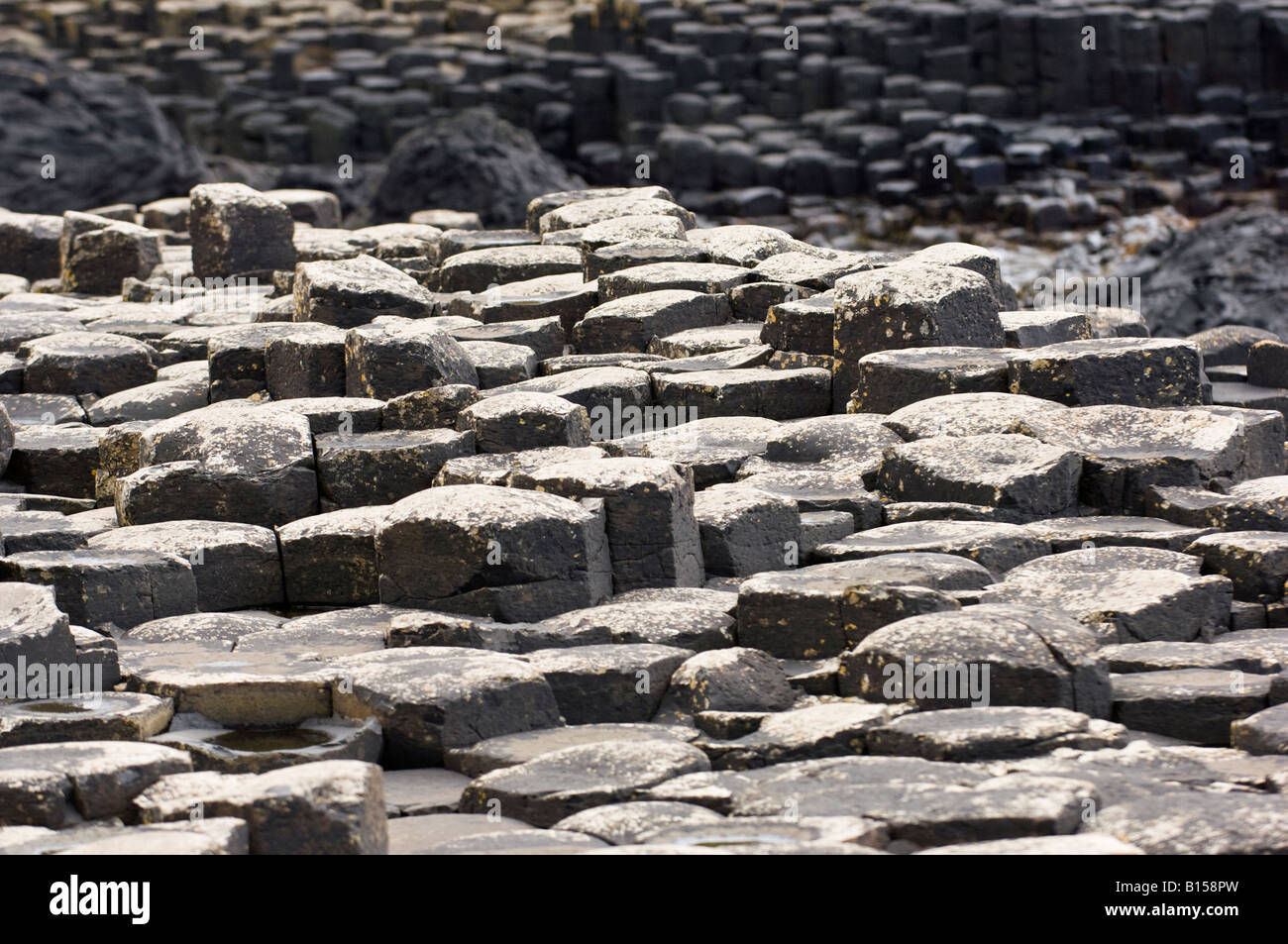 Tessellated rock formations at the Giants Causeway, County Antrim ...