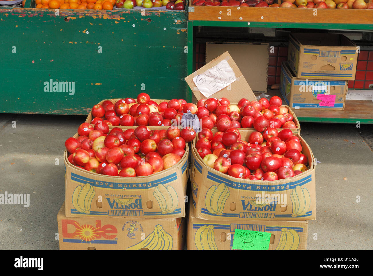 Gala Apples For Sale Stock Photo - Alamy