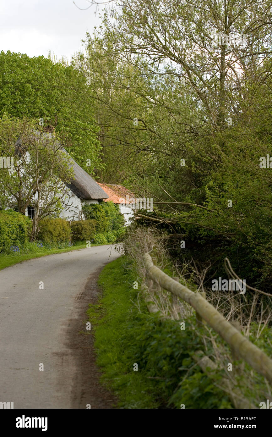 country lane with thatched cottage Stock Photo - Alamy