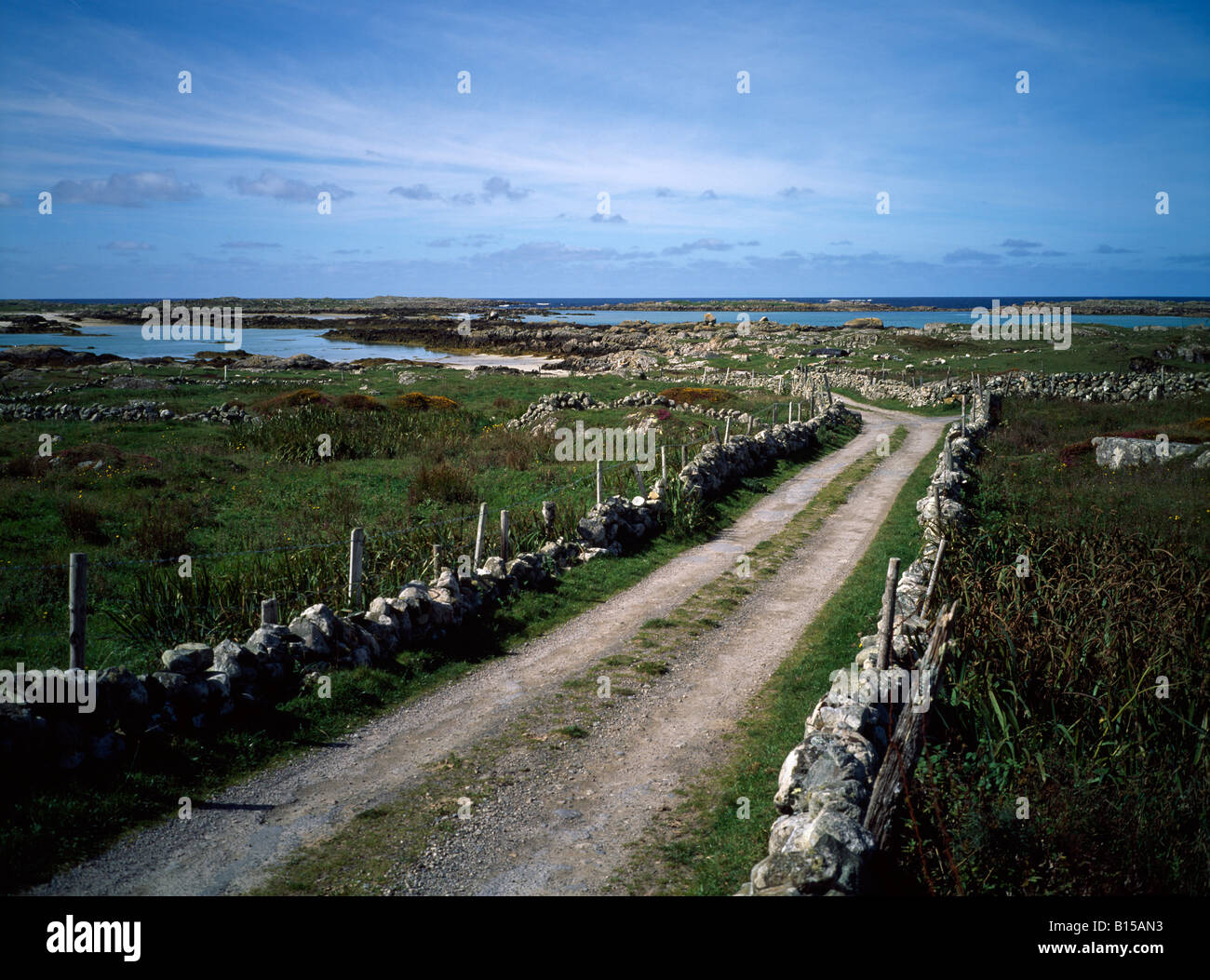 Ireland, Dirt road Stock Photo - Alamy