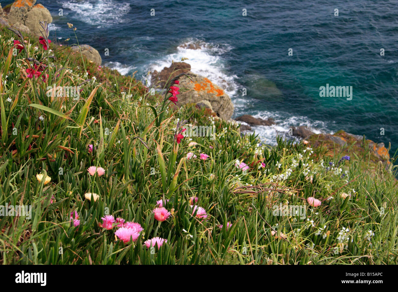 The Lizard, Britain's most southerly point, Cornwall Stock Photo - Alamy