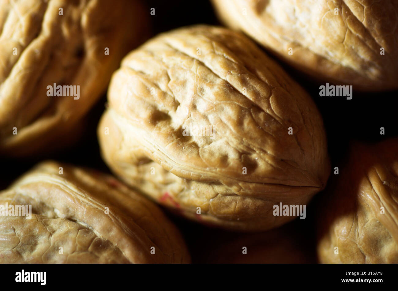 Walnut close up Stock Photo - Alamy