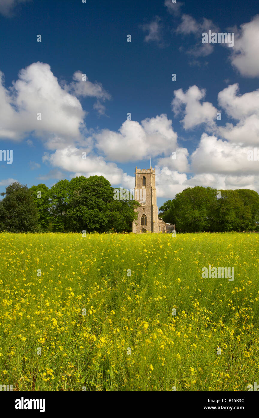 Traditional Norfolk Flint Church of St Michael & All Angels Barton Turf ...