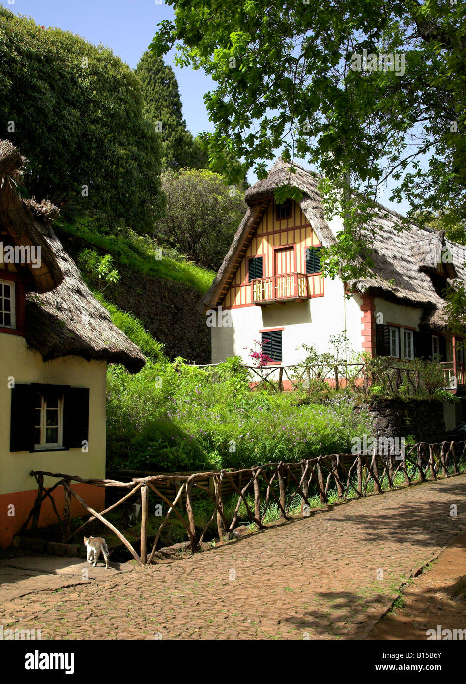 Thatched house in a forest setting on the Island of Madeira Stock Photo ...