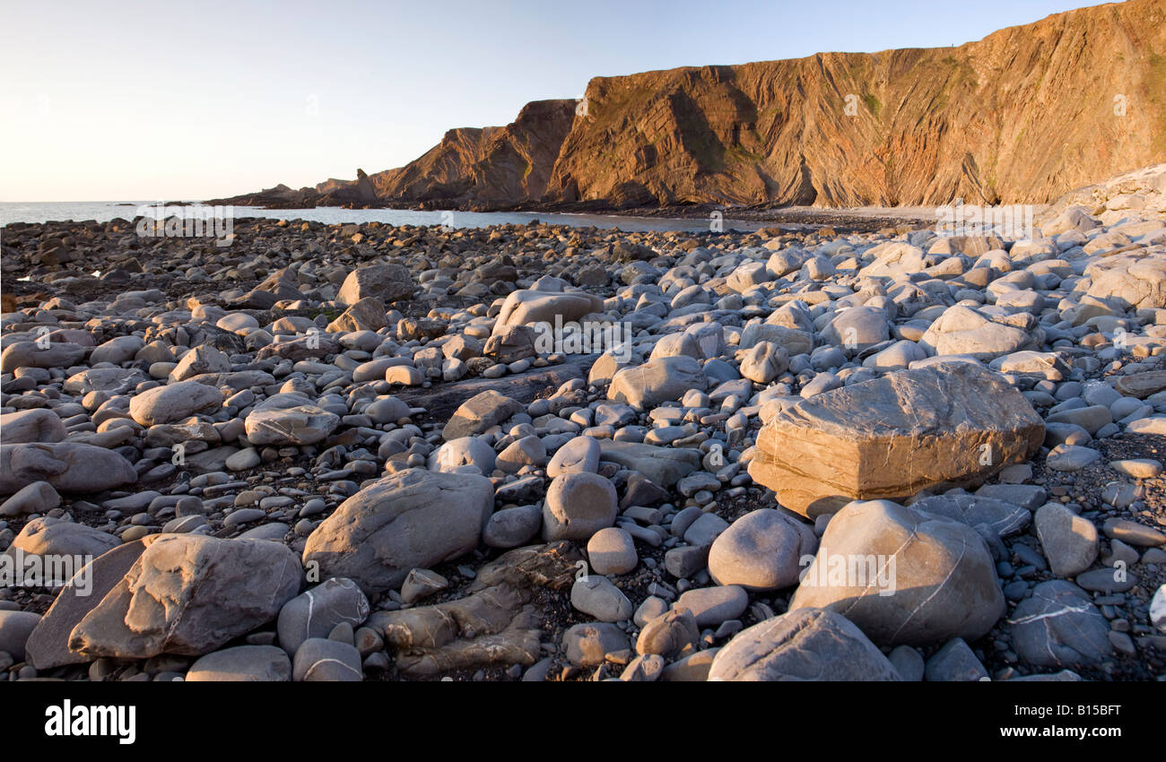 Panorama of Hartland Quays North Devon in evening light Stock Photo - Alamy