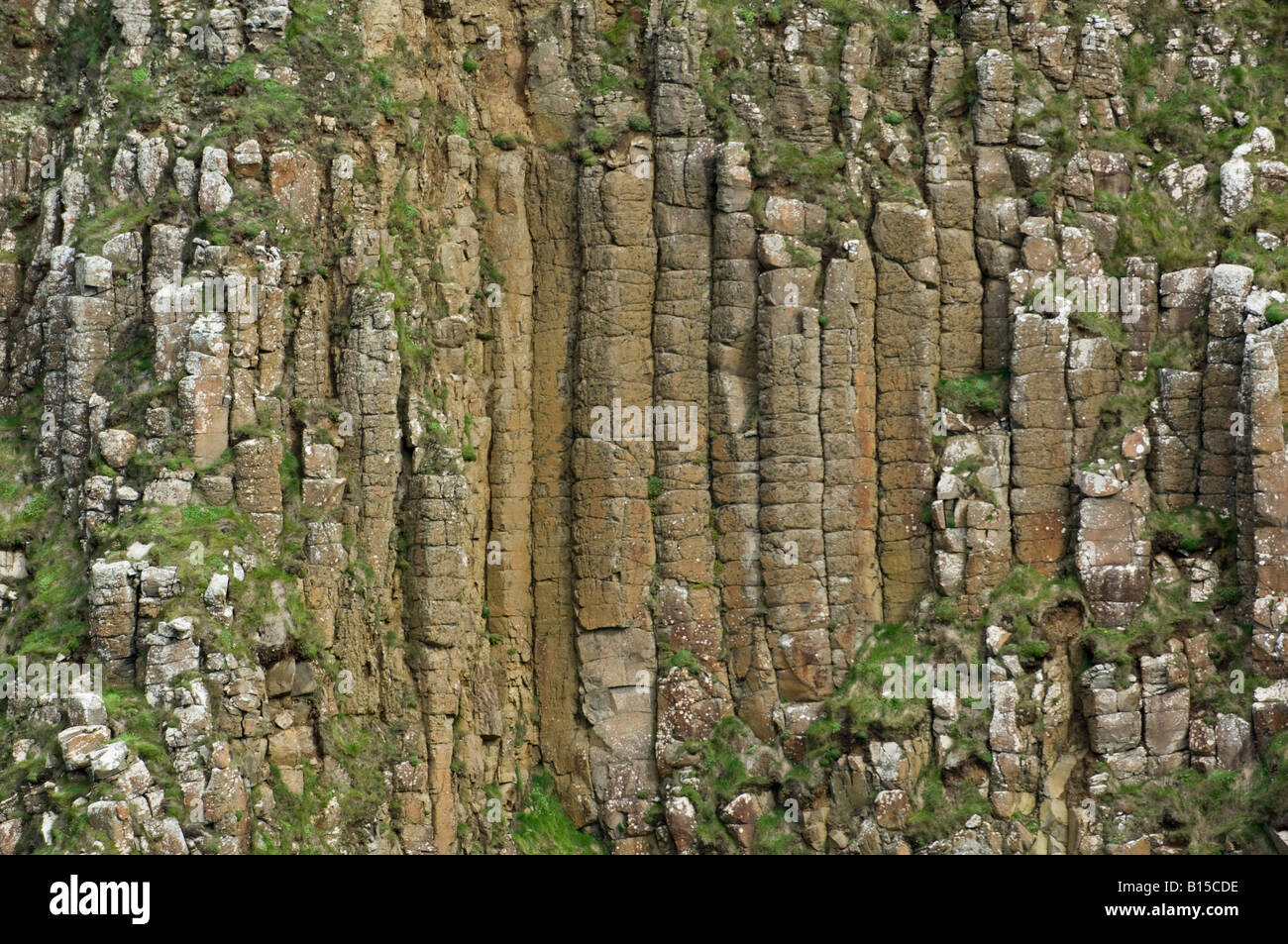 Tessellated Rock Formations in the cliffs overlooking the Giants ...