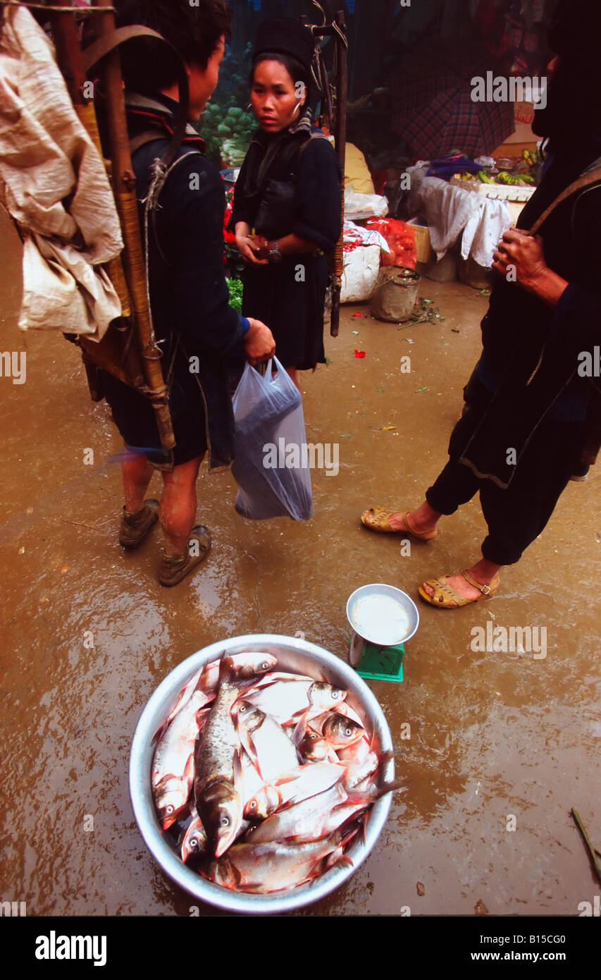 Sapa fish hi-res stock photography and images - Alamy