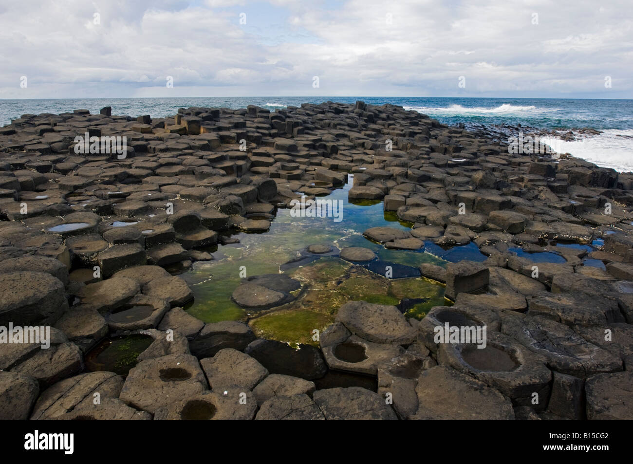 Tessellated rock formations at the Giants Causeway, County Antrim ...