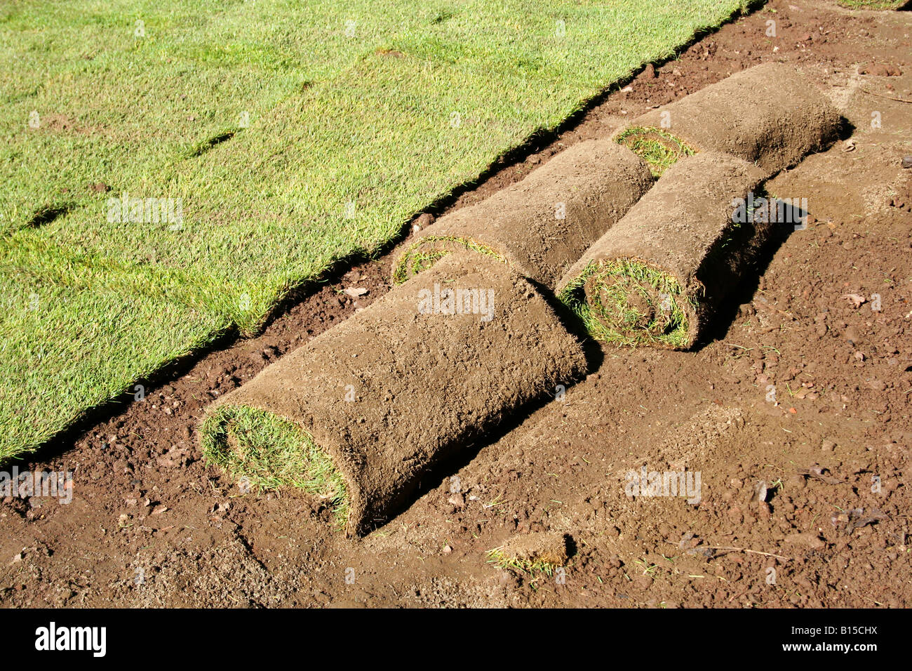 lawn grass plot in the rolls Stock Photo - Alamy