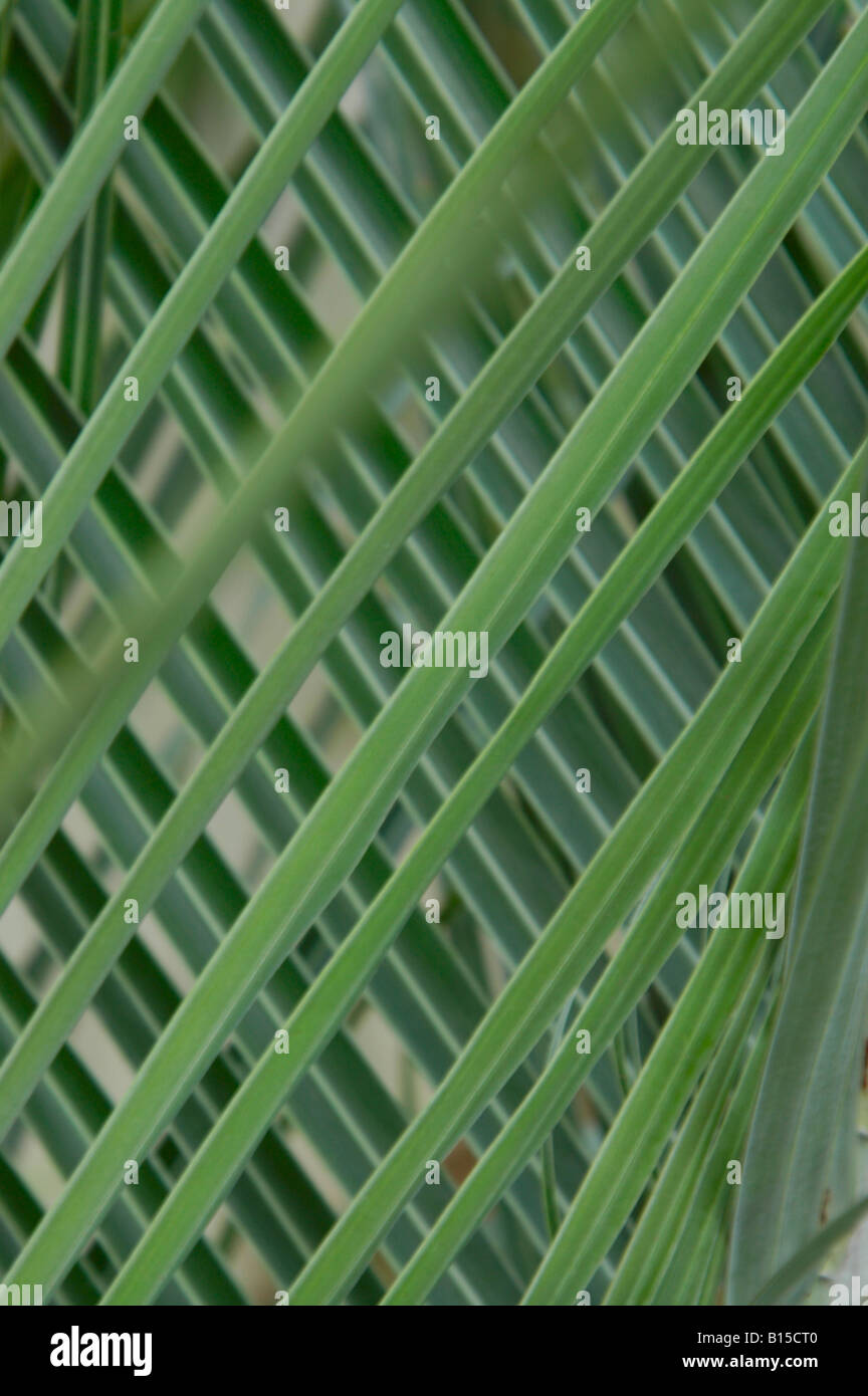 Weave Pattern High Resolution Stock Photography and Images - Alamy