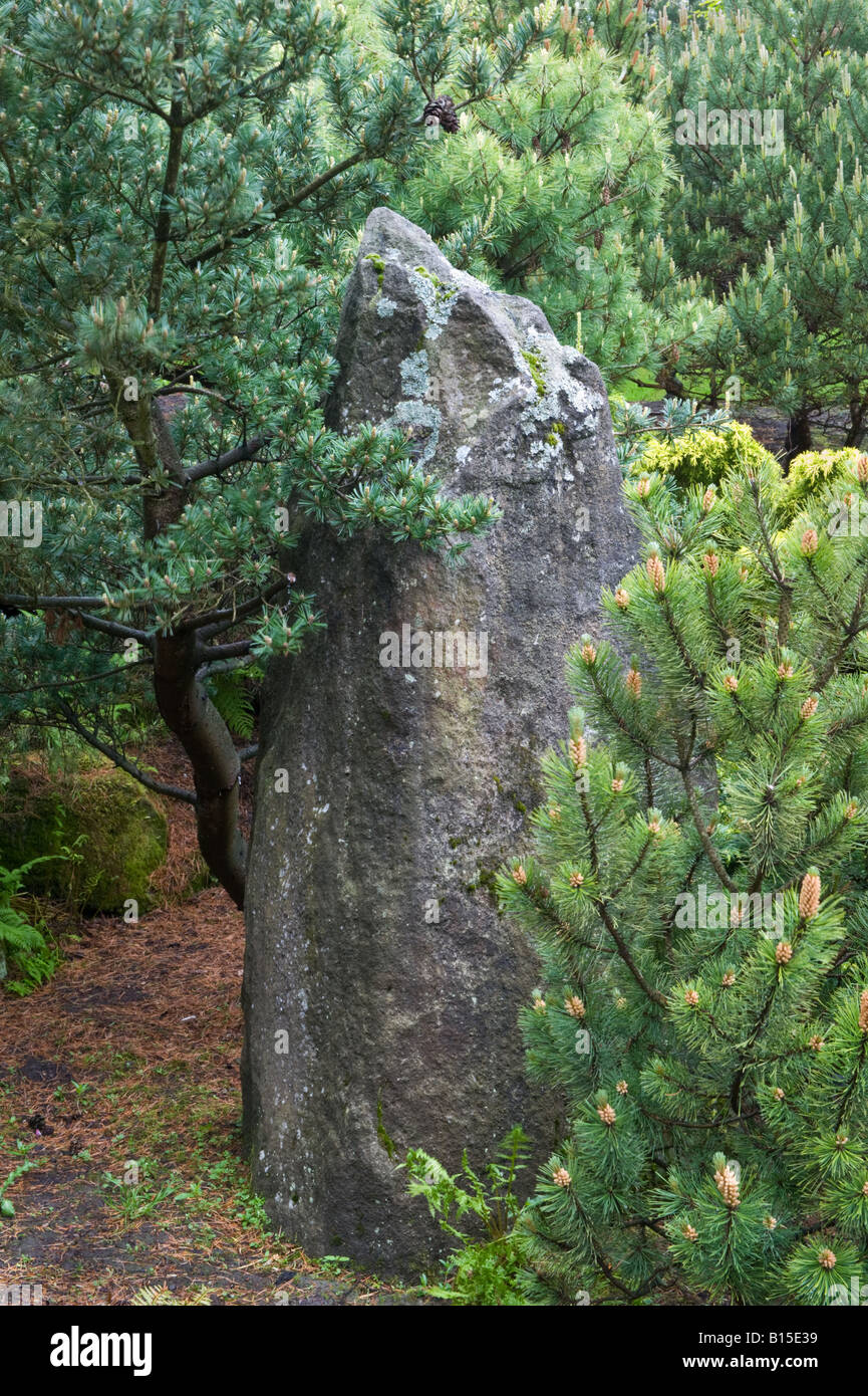 Japanese rock garden shrubs hi-res stock photography and images - Alamy