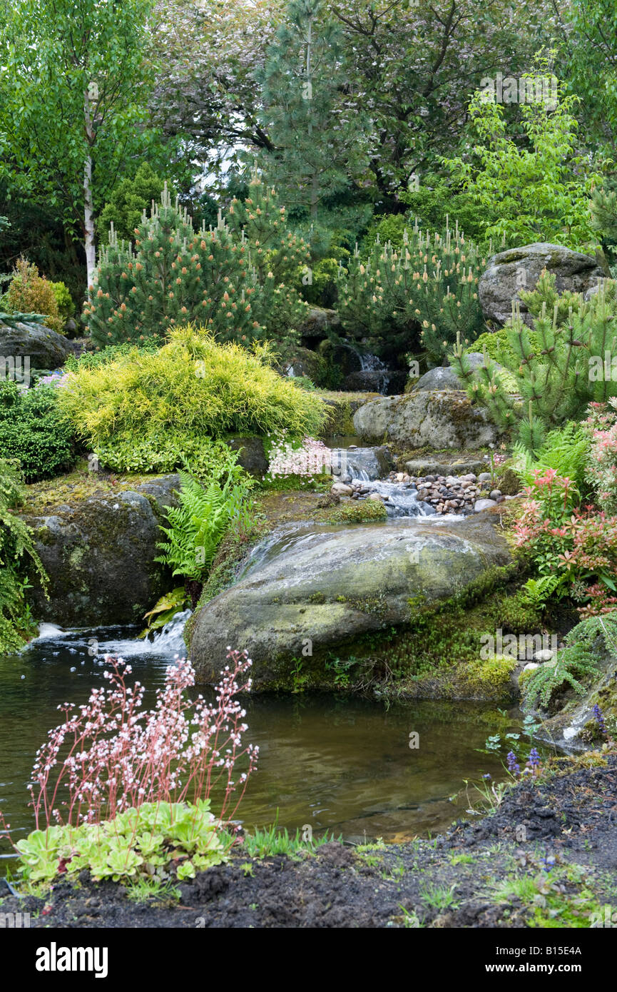 Rock garden with waterfall and pond design by Bahaa Seedhom North ...