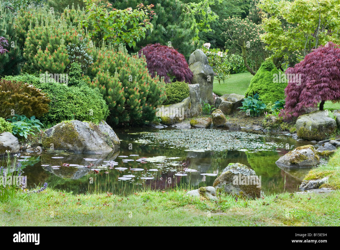 Pond in a rock garden design by Bahaa Seedhom North Yorkshire England ...