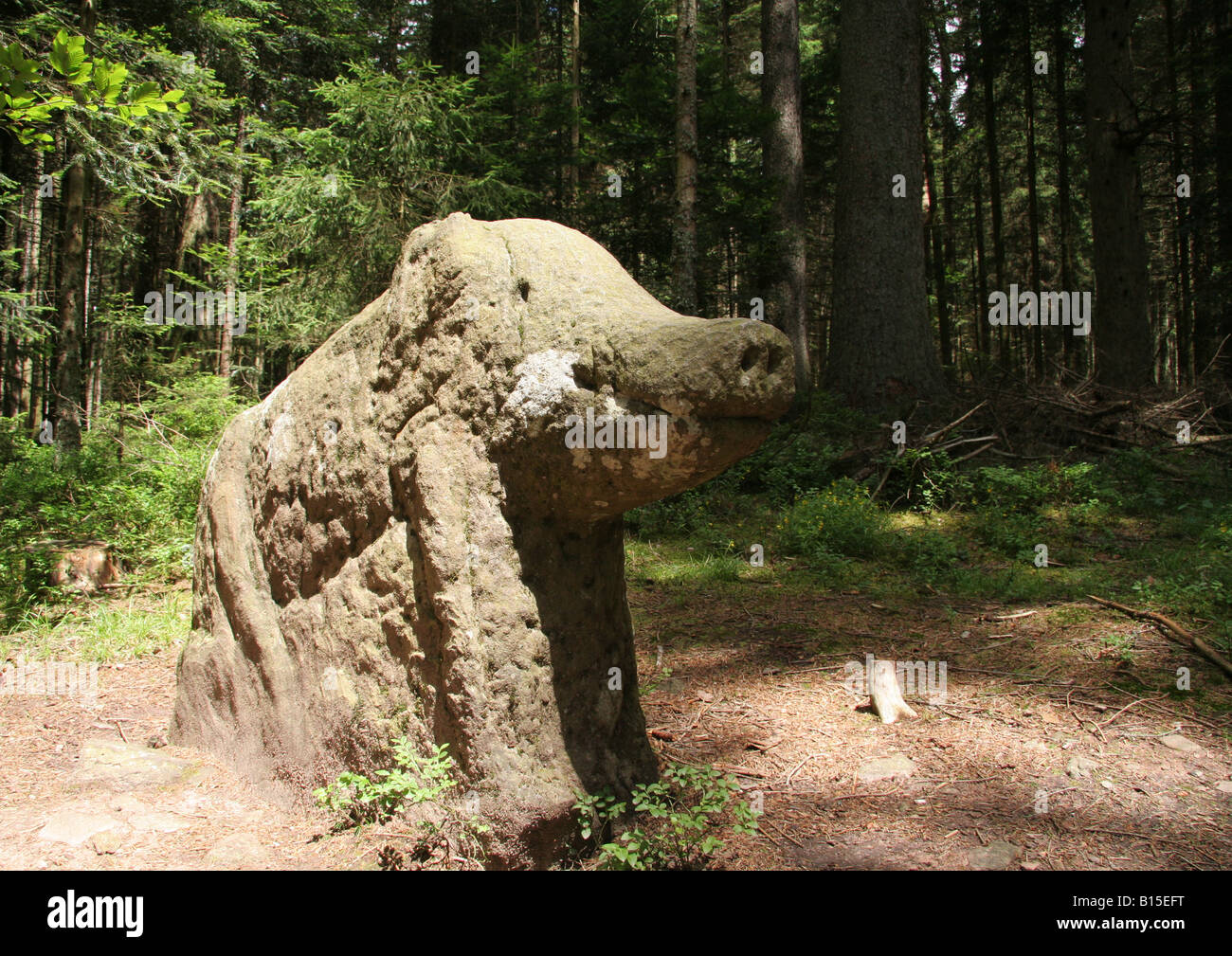Stone Sculpture of a wild boar Stock Photo - Alamy