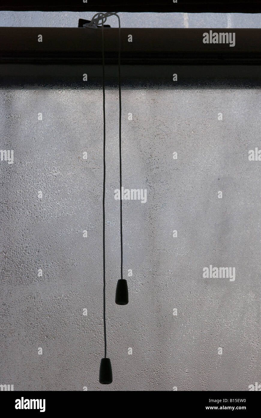 Curtain drawcord in window Stock Photo - Alamy