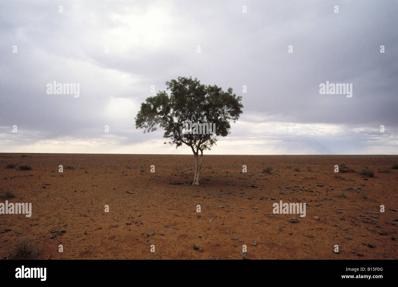 Rare Rain Storm on the Gibber Plain Old Andado Track Simpson Desert ...