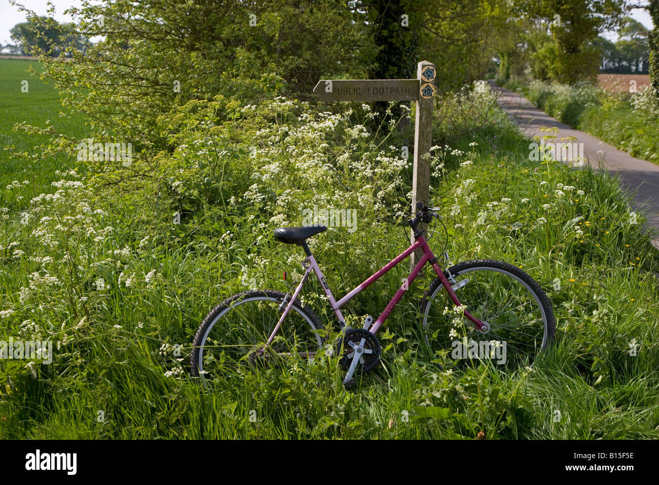 Countryside and Quiet Lane Gimingham Norfolk May Stock Photo - Alamy