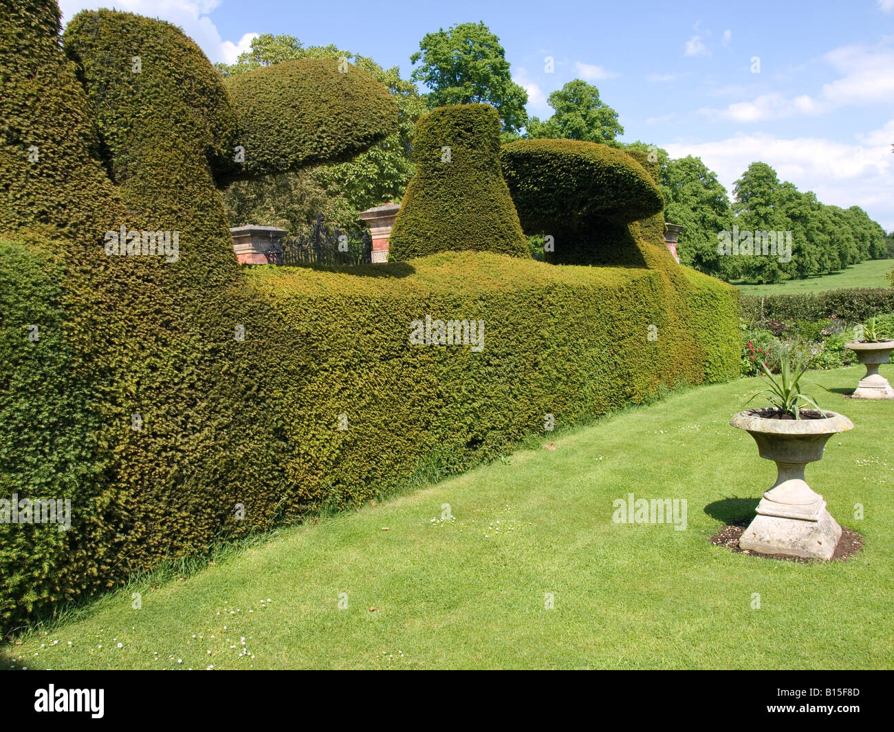 Topiary garden at Kiplin Hall near Scorton North Yorkshire UK Stock ...