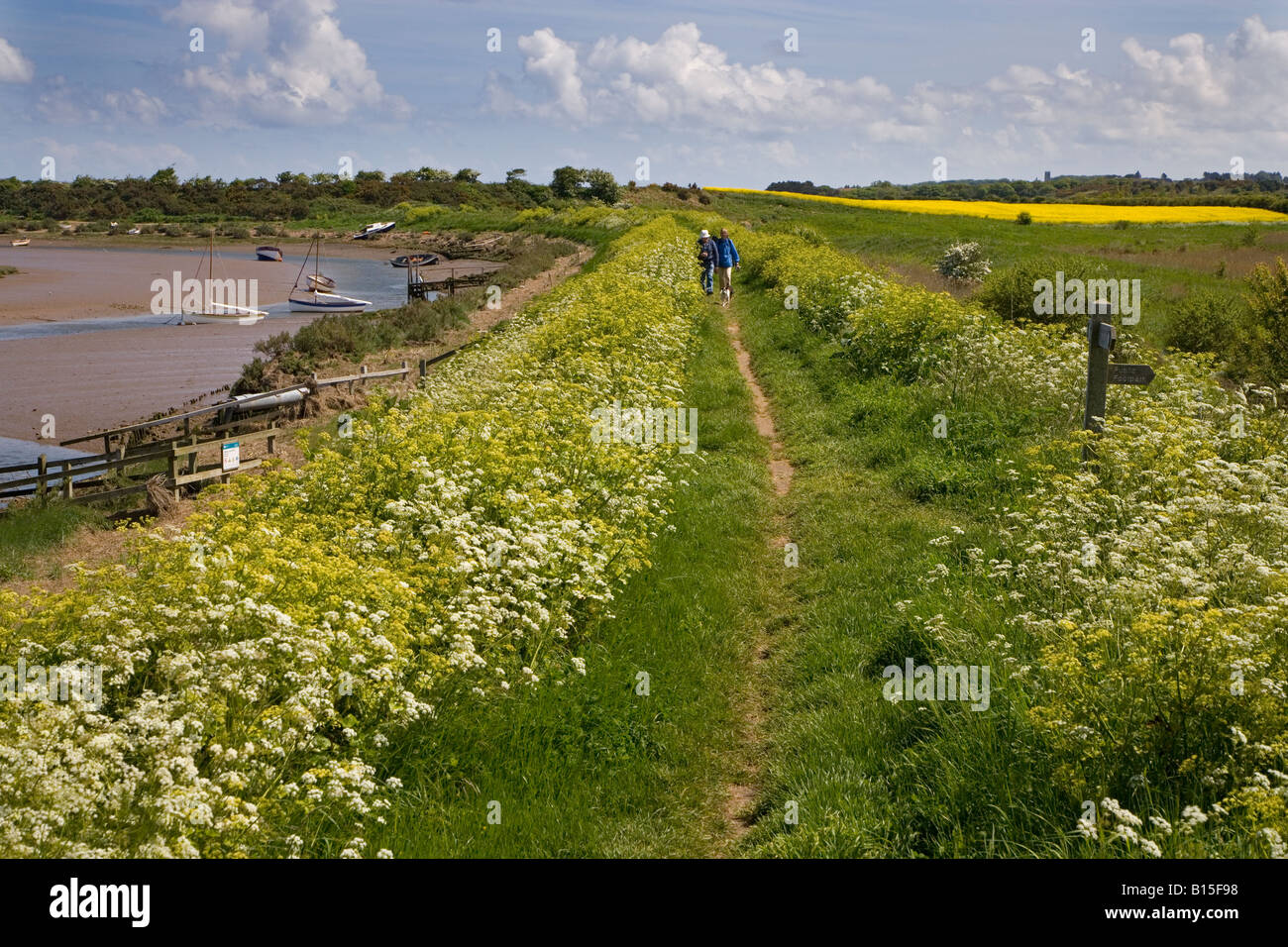 Coastal Path and River Stiffkey North Norfolk May Stock Photo - Alamy