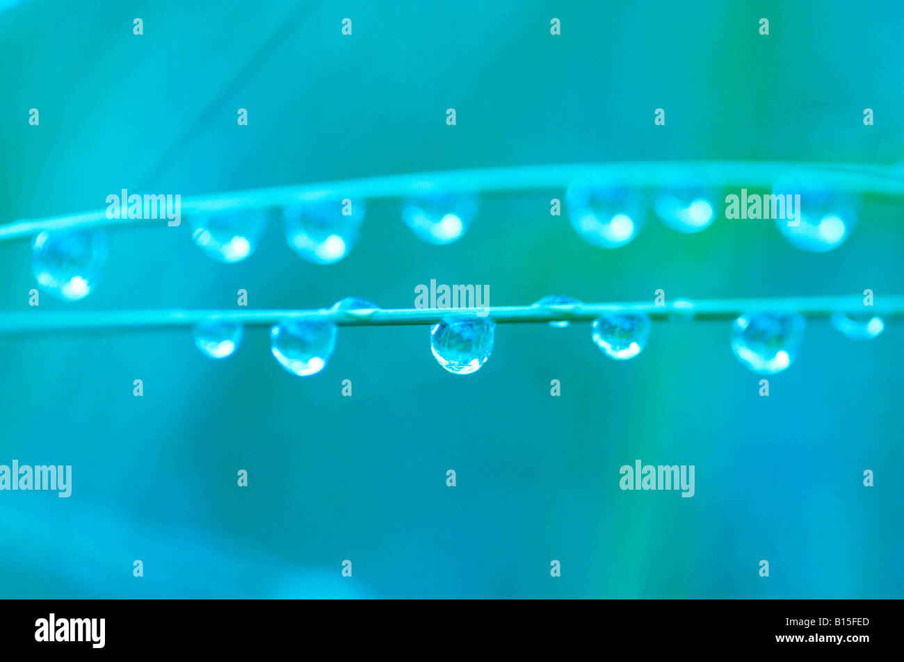 Drop of water Stock Photo - Alamy