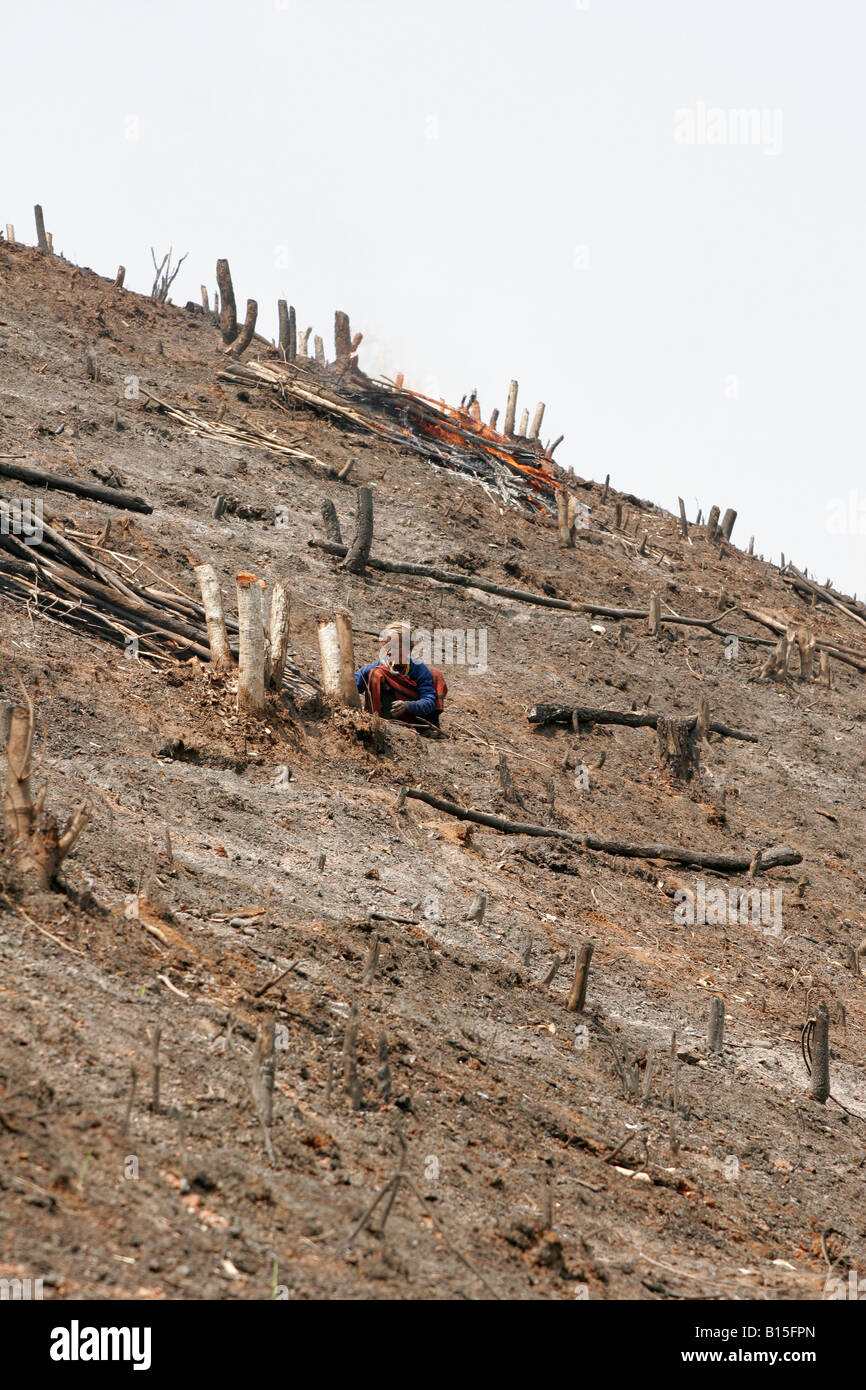 Slash slashing hi-res stock photography and images - Alamy