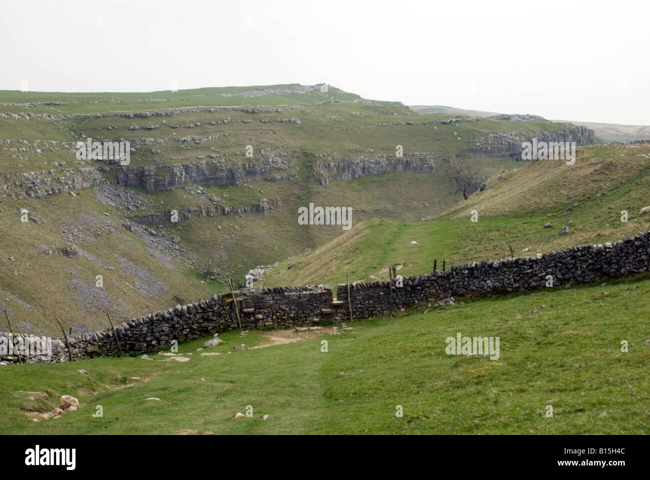 Sheep scar hi-res stock photography and images - Alamy