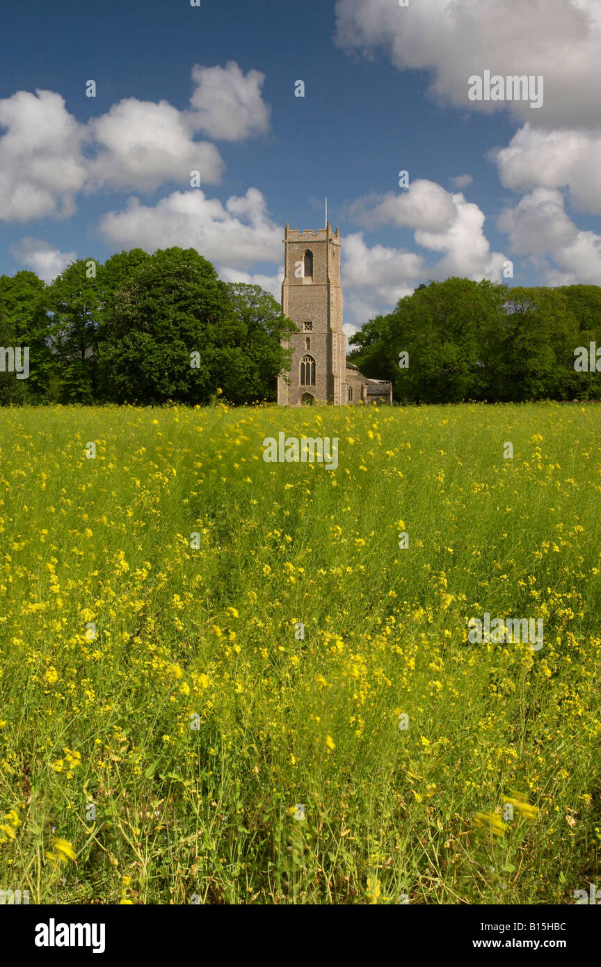 Traditional Norfolk Flint Church of St Michael & All Angels Barton Turf ...