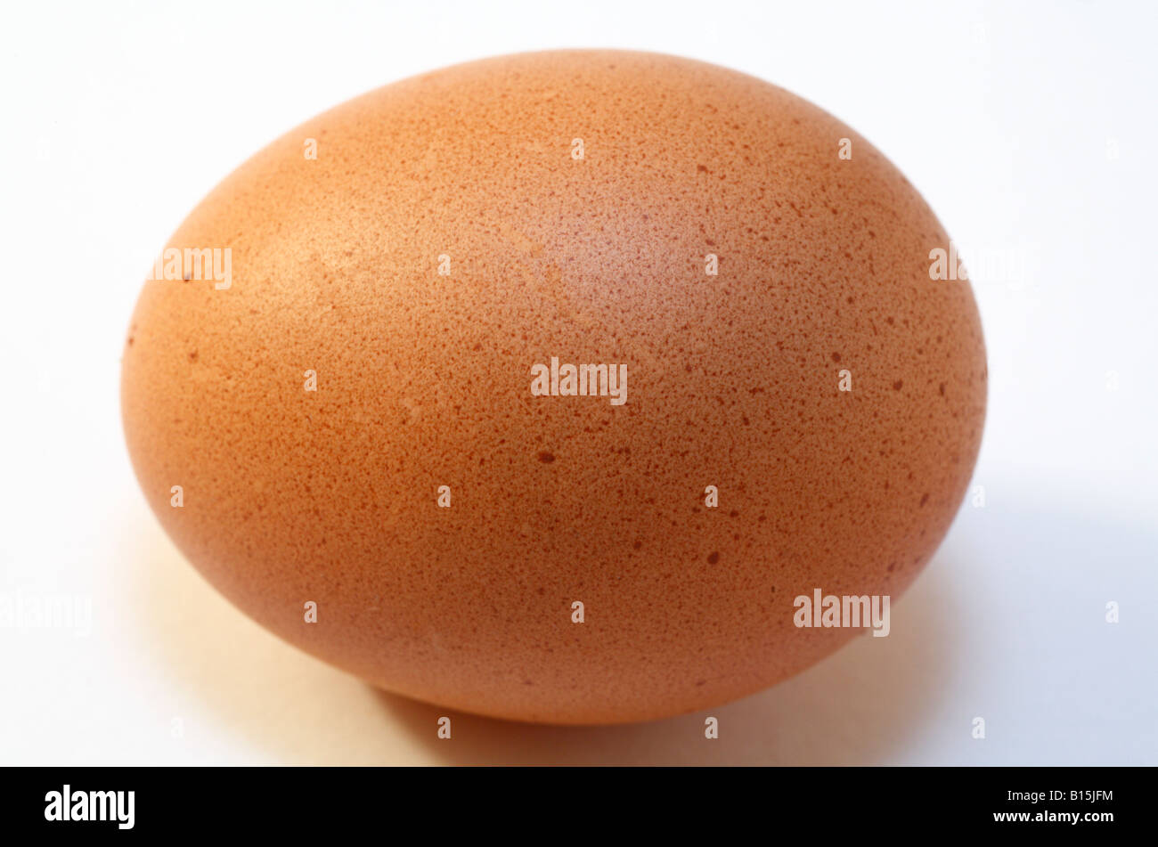 A raw, whole egg Stock Photo - Alamy