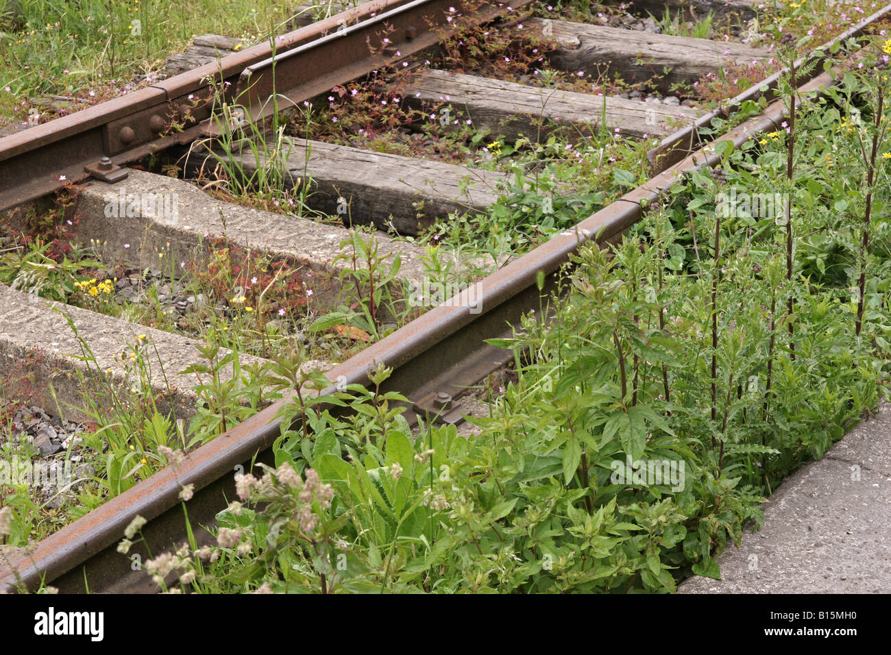 Weed infested, Rail Line Bristol Harbour England Stock Photo - Alamy