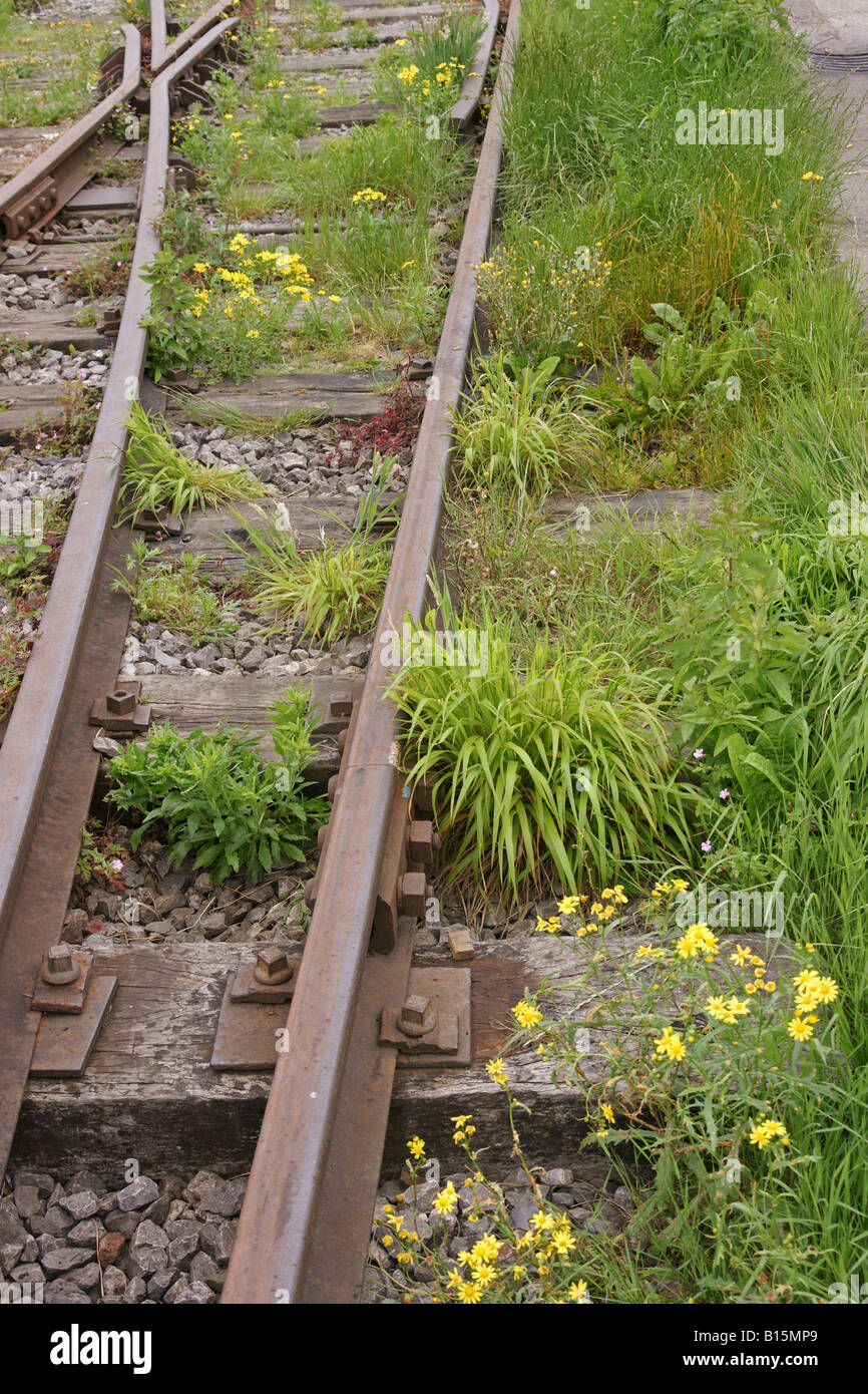Weed infested, Rail Line Bristol Harbour England Stock Photo - Alamy