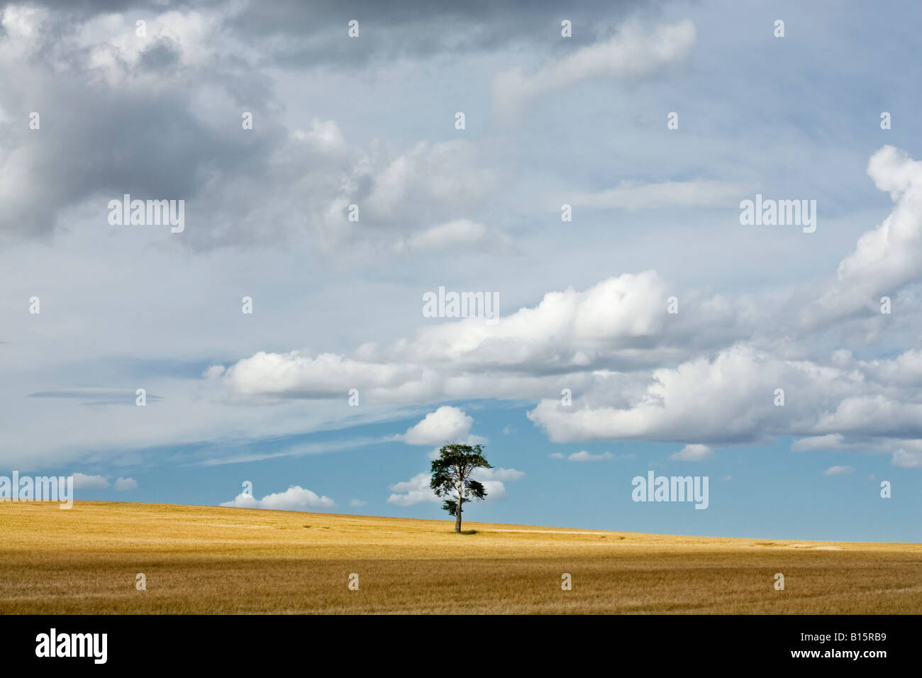 Brownrigg hi-res stock photography and images - Alamy