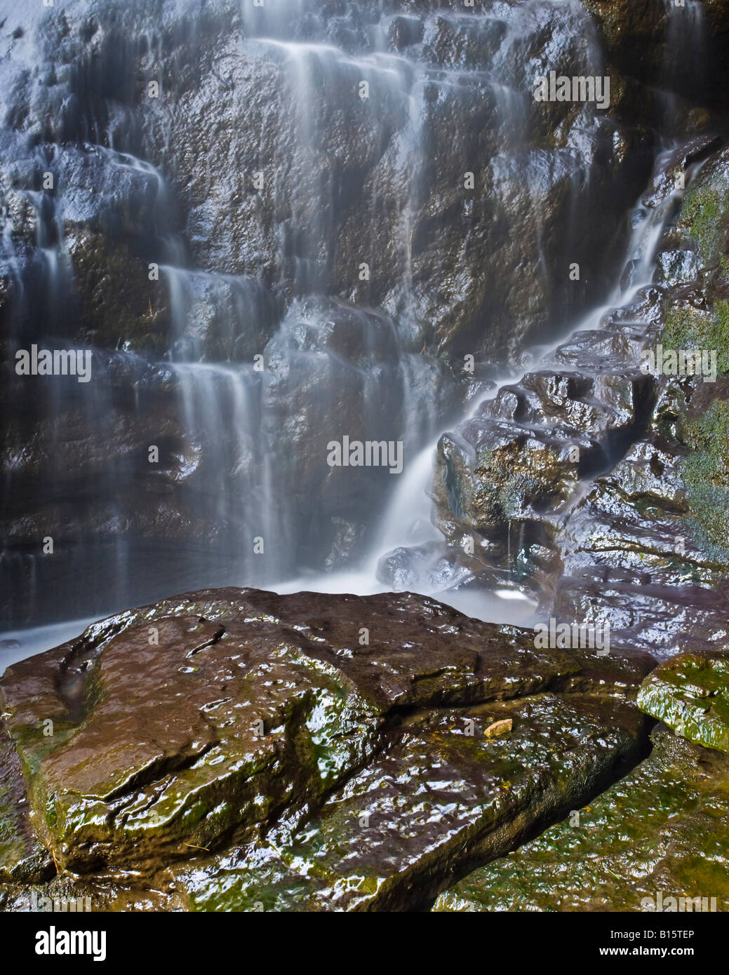 Detail of Hareshaw Linn waterfall near Bellingham, Northumberland ...