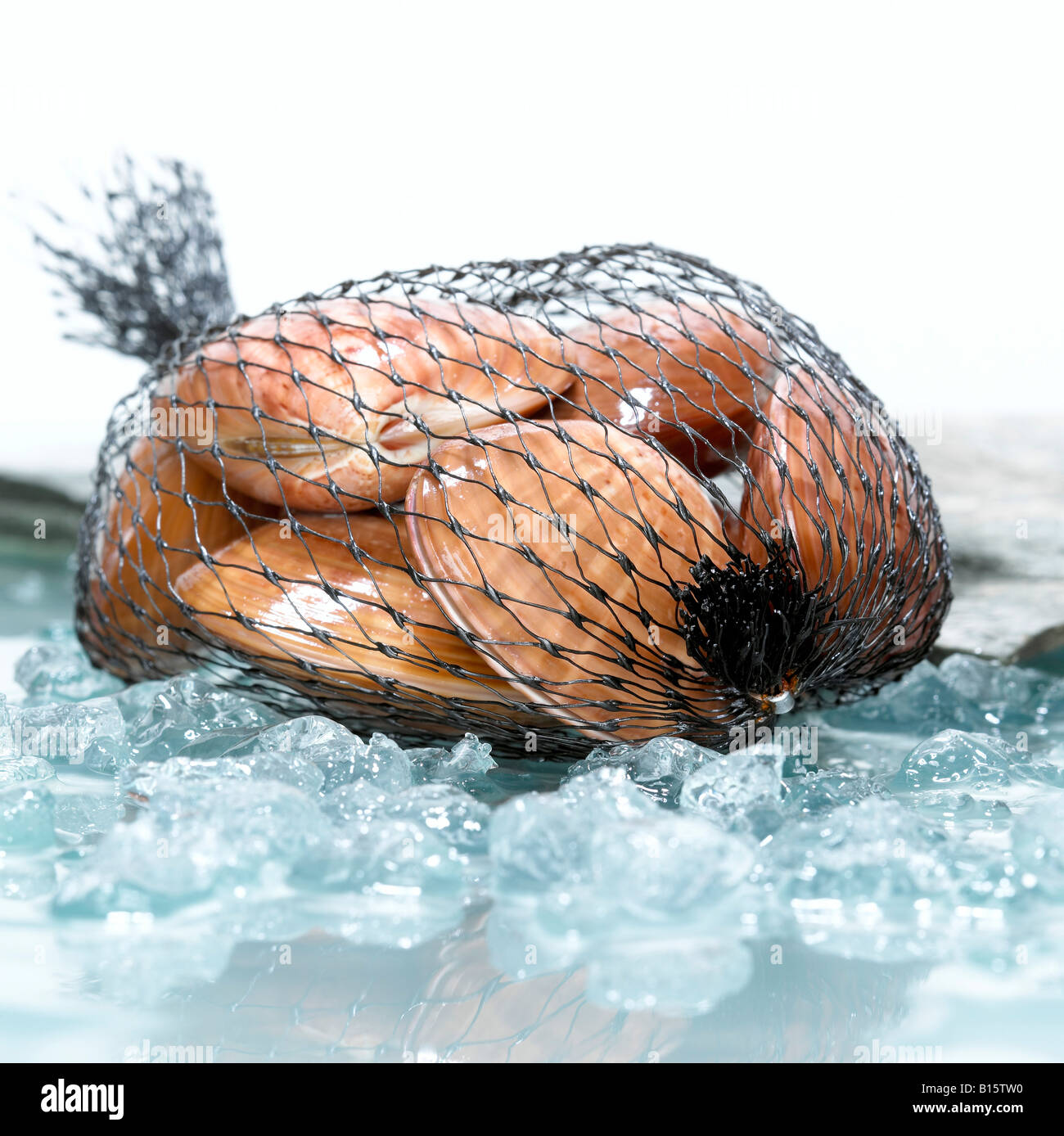 Faolari mussels in net, close-up Stock Photo - Alamy