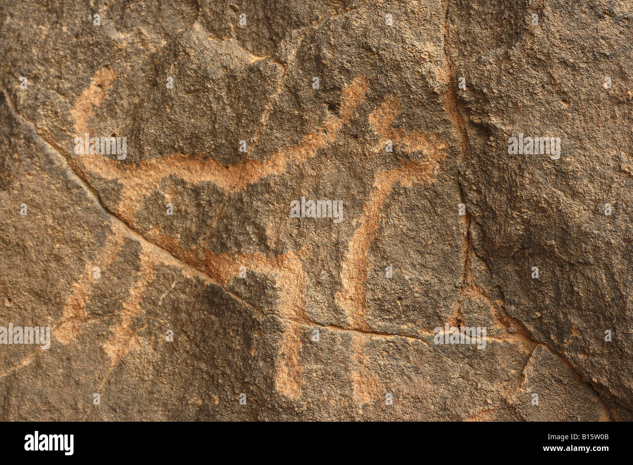 Dog petroglyph in Youf Ahakit Tassili Ahaggar Sahara desert Algeria ...